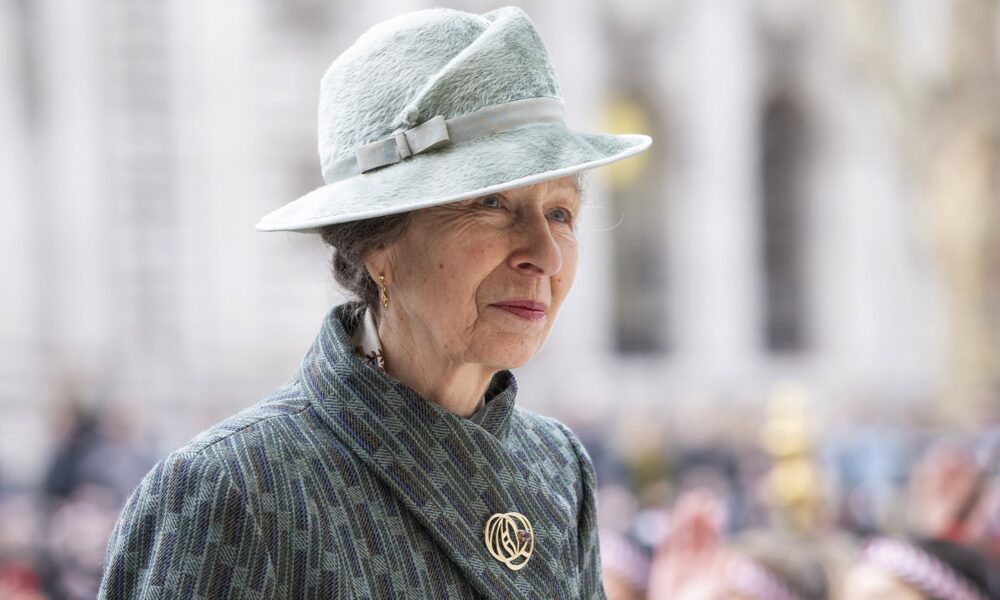 Princess Anne Raises Concerns Over Slimming Down Monarchy – News all day