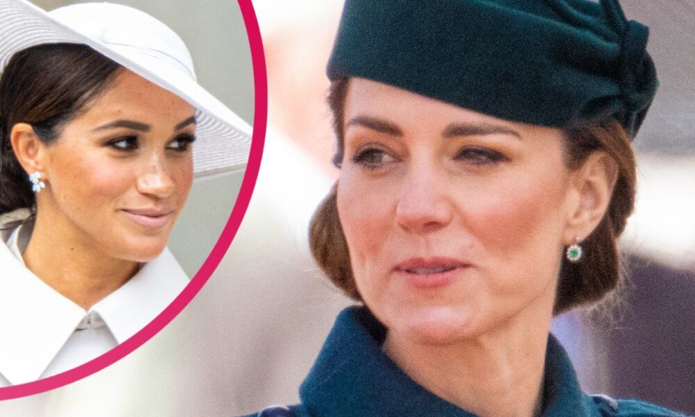 Princess Pushy: Unveiling the Truths About Meghan Markle’s Nature ...