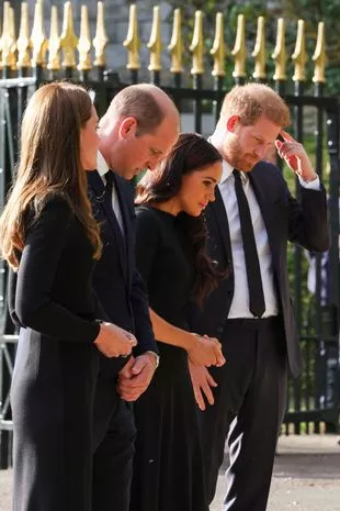 Royal Gesture: Prince William and Catherine Extend Olive Branch to Harry and Meghan – News all day