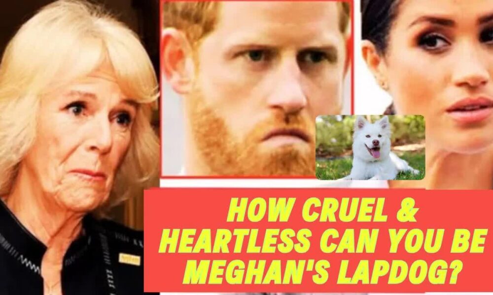 Royal Family Drama Unveiled: Prince Harry’s Latest Controversy Sparks ...