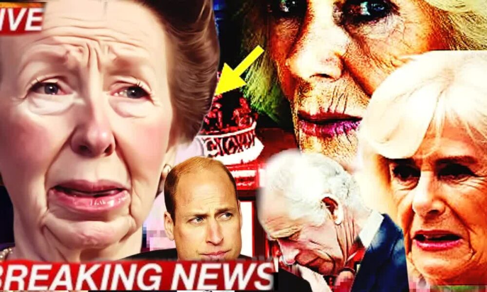 Royal Tensions Emerge as Princess Anne Voices Support for Queen Camilla Amidst Monarchy’s ...