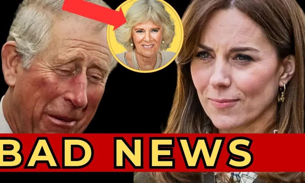 Royal Health Concerns: Inside the Palace’s Struggles – News all day