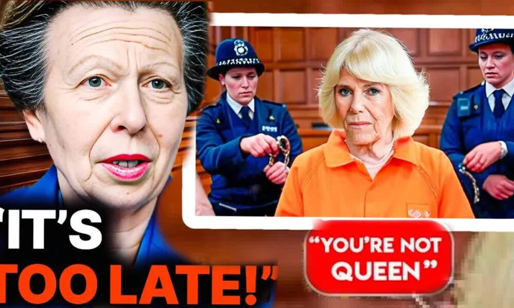 Royal Showdown: Princess Anne Takes Queen Camilla to Court Over ...